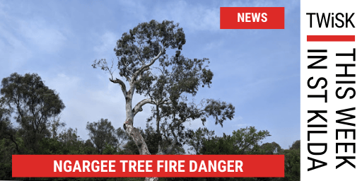Ngargee Tree Fire Danger - TWiSK